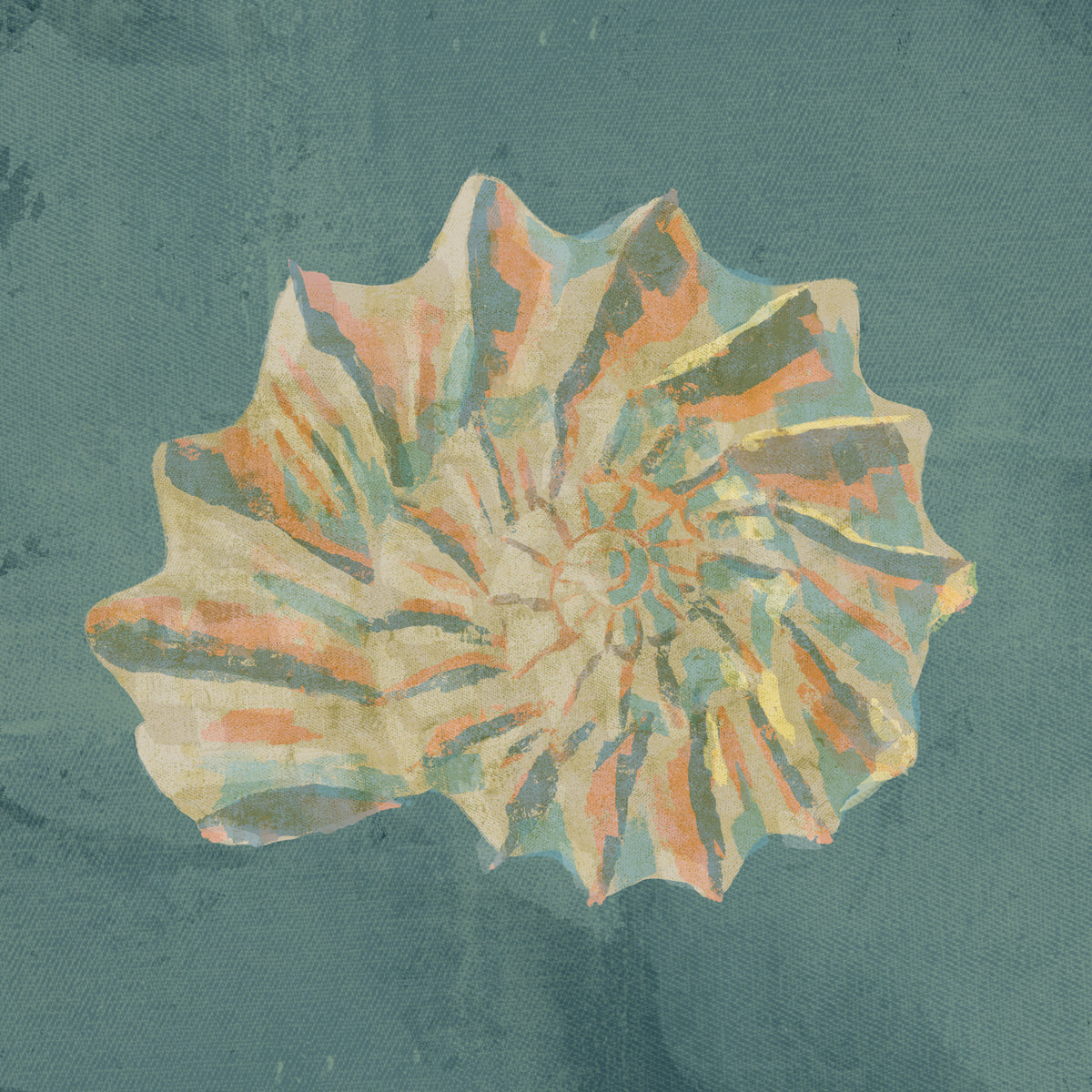 Nautilus Shell – Dora Knuteson Art