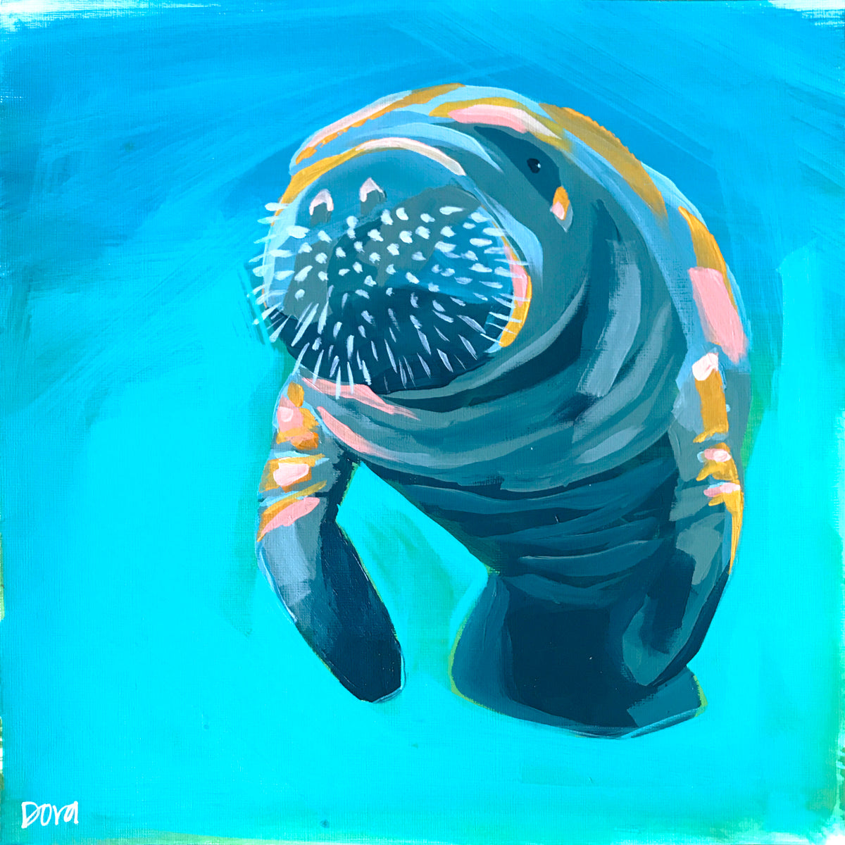 Manatee Study #1 by Dora Knuteson – Dora Knuteson Art