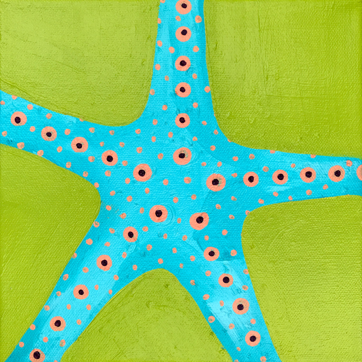 Starfish Art by Dora Knuteson – Dora Knuteson Art